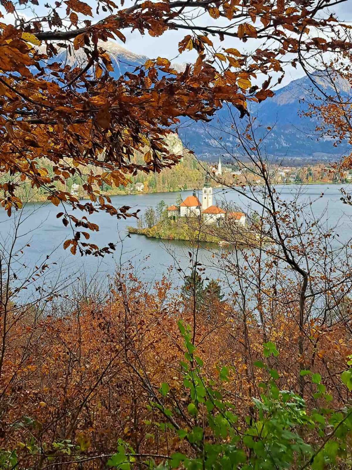 Plaže na Bledu - montis bled